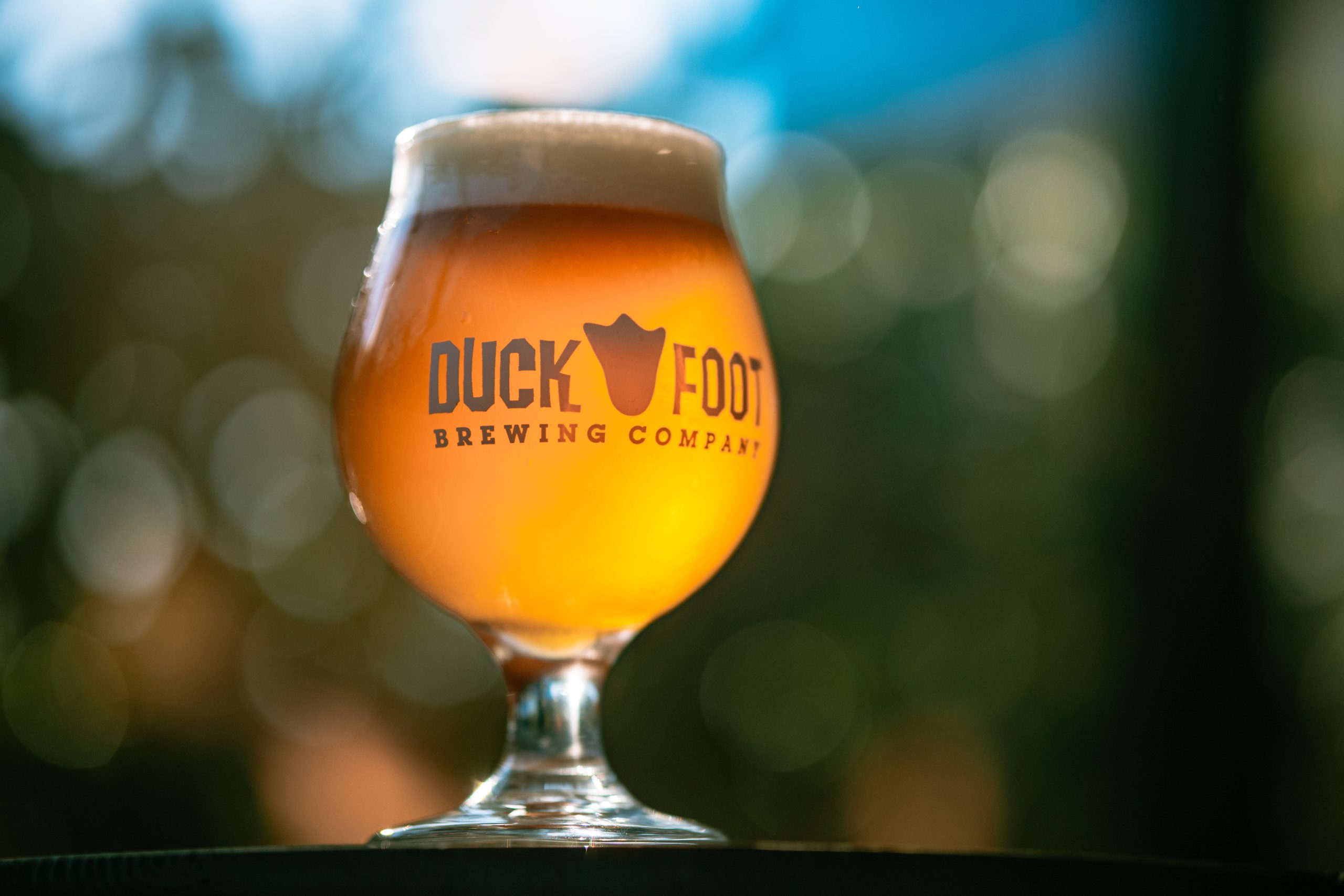 Beer Photography | Pixels By Palmer